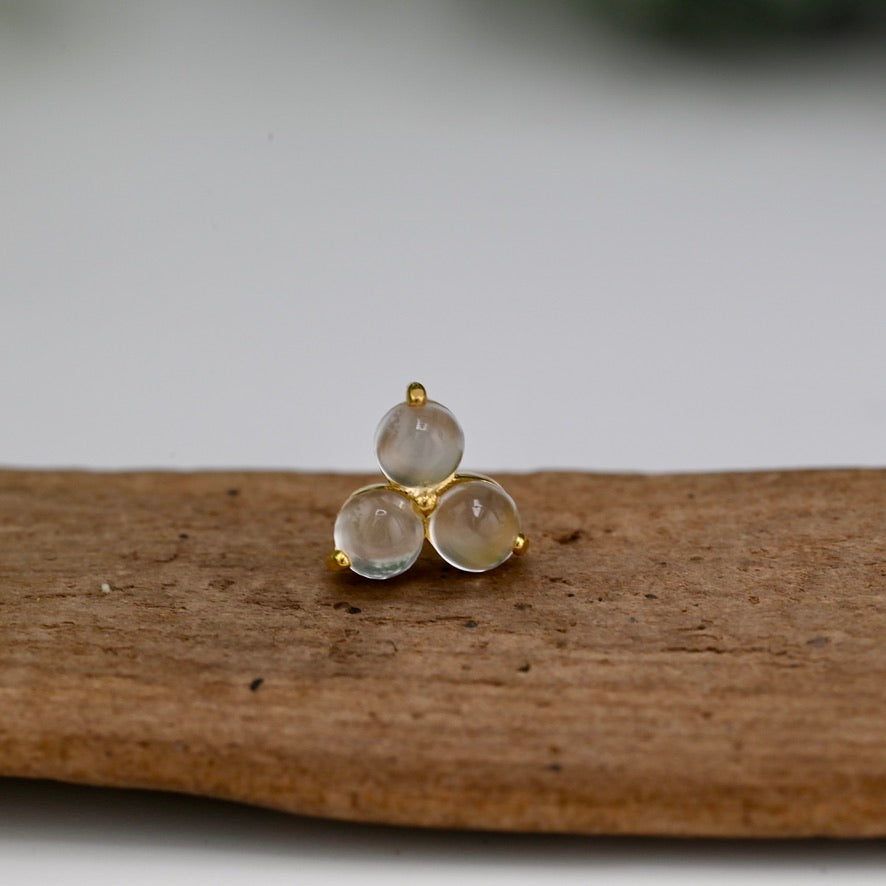 Gemmed Trio – Agave in Bloom