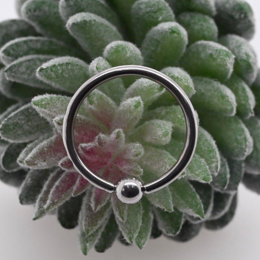 Steel Captive Bead Ring – Agave in Bloom