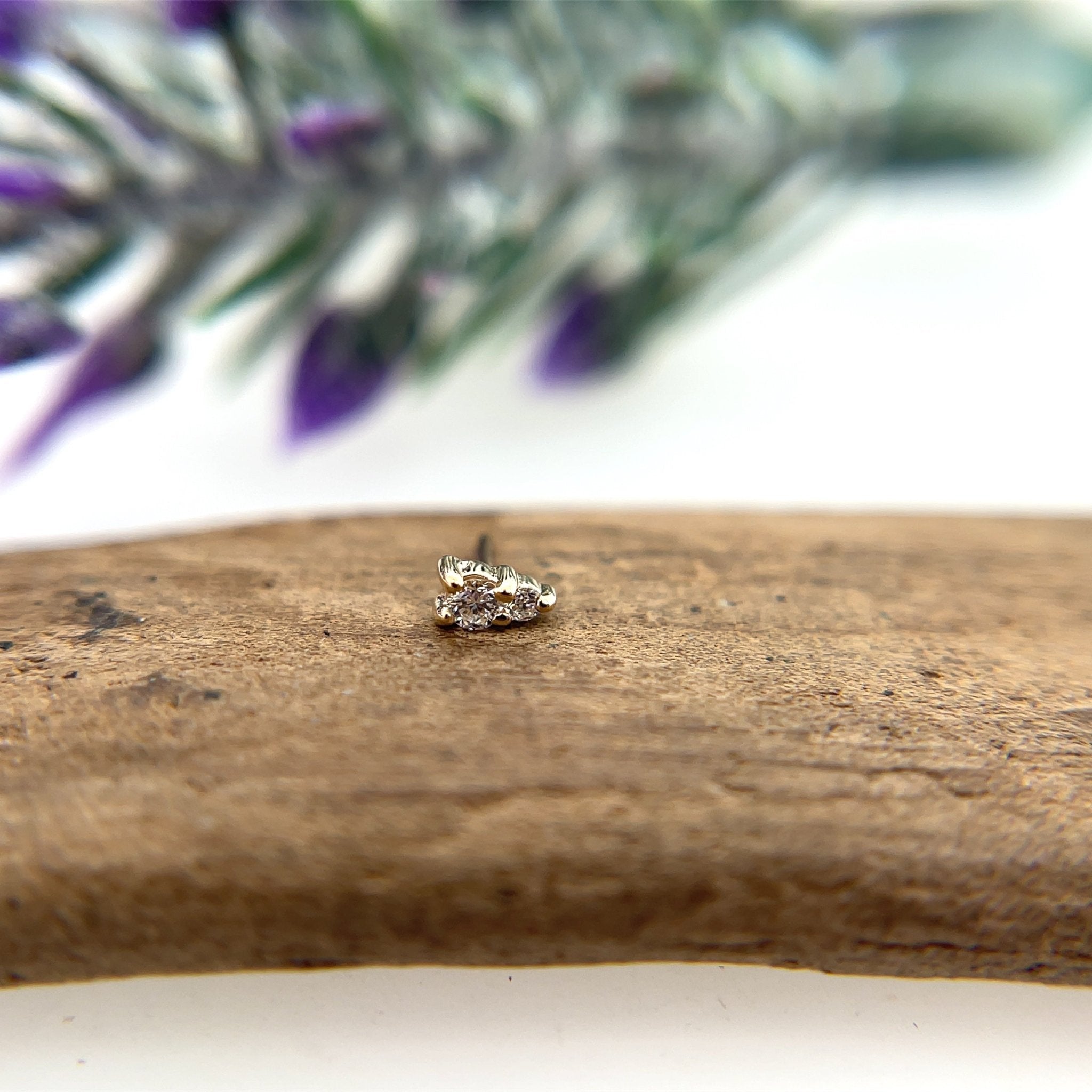 Tiny Jeanie 2 – Agave in Bloom