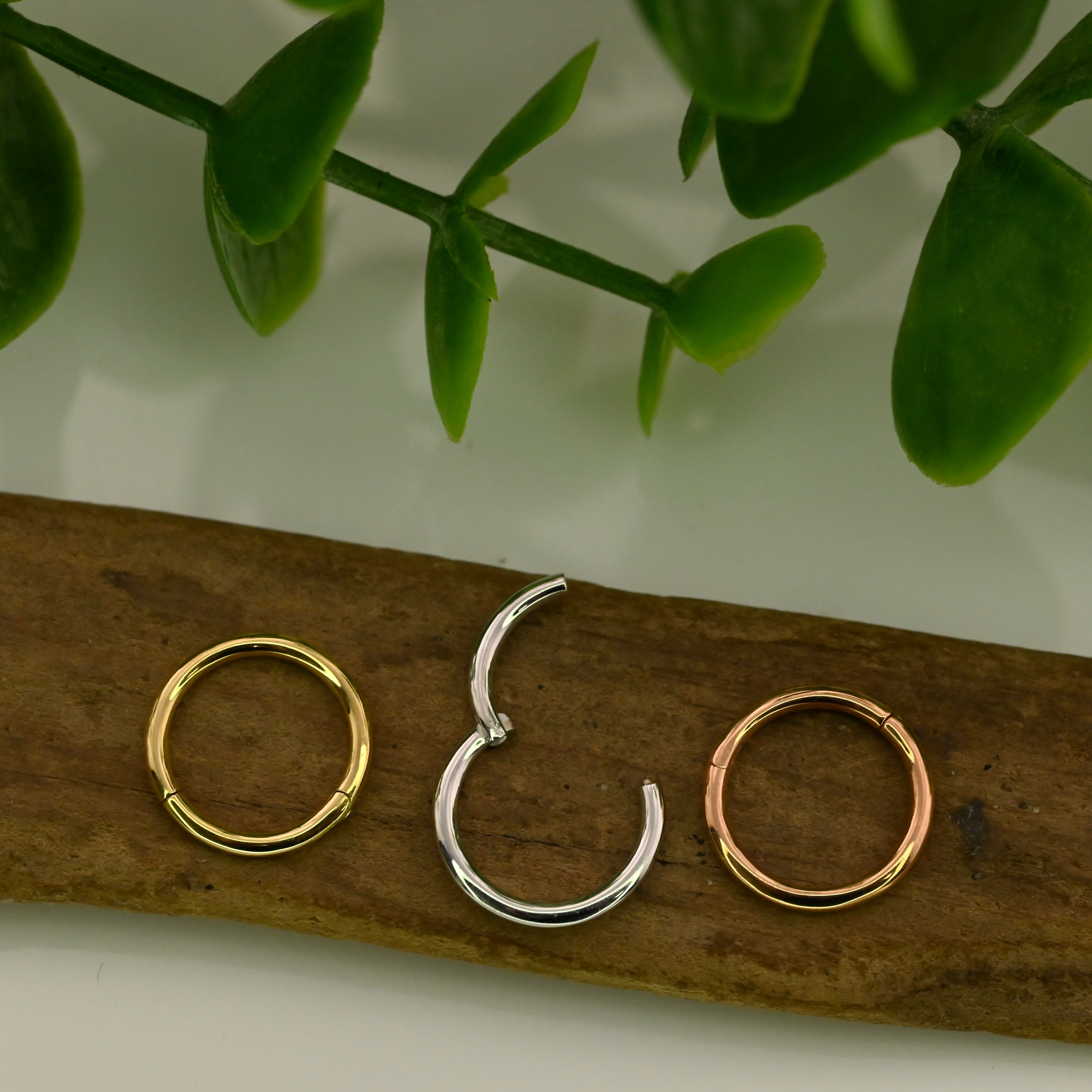 16g Clicker - 18K Gold – Agave in Bloom