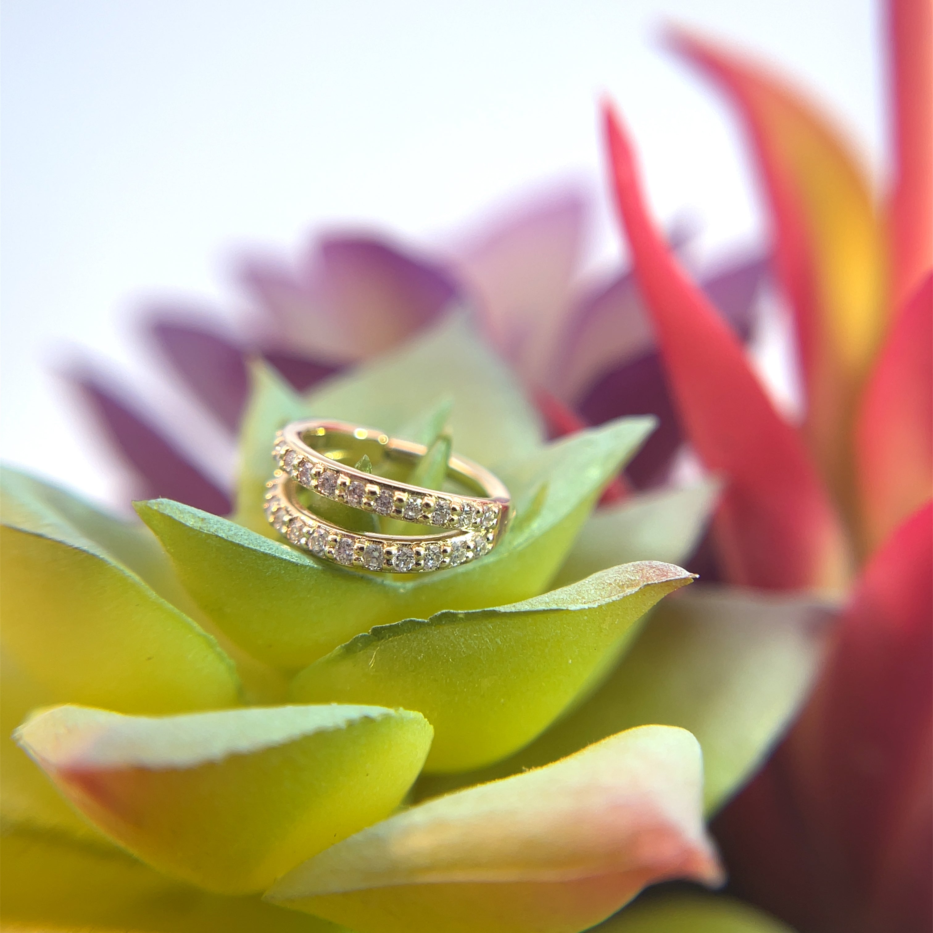 Spectra Hinge Ring – Agave in Bloom