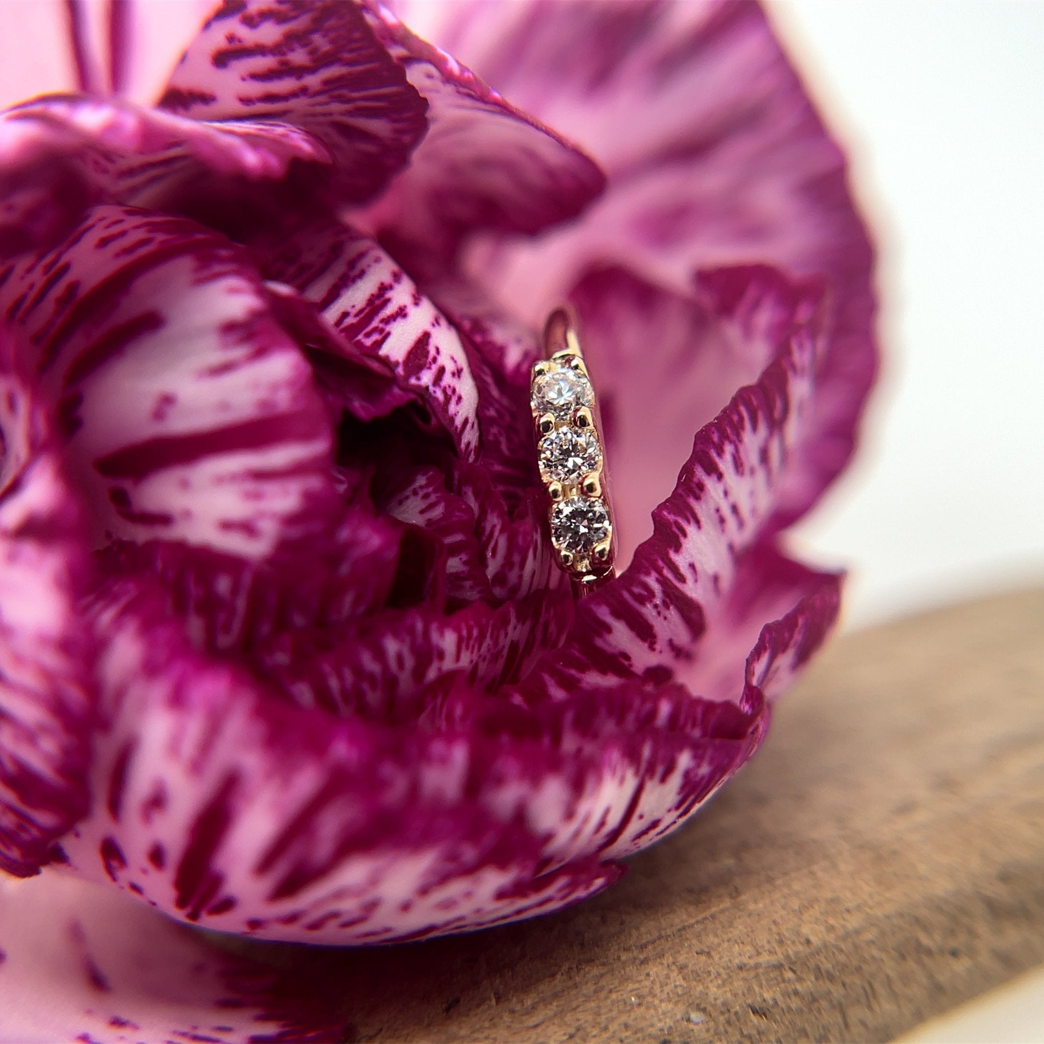 BVLA – Agave in Bloom