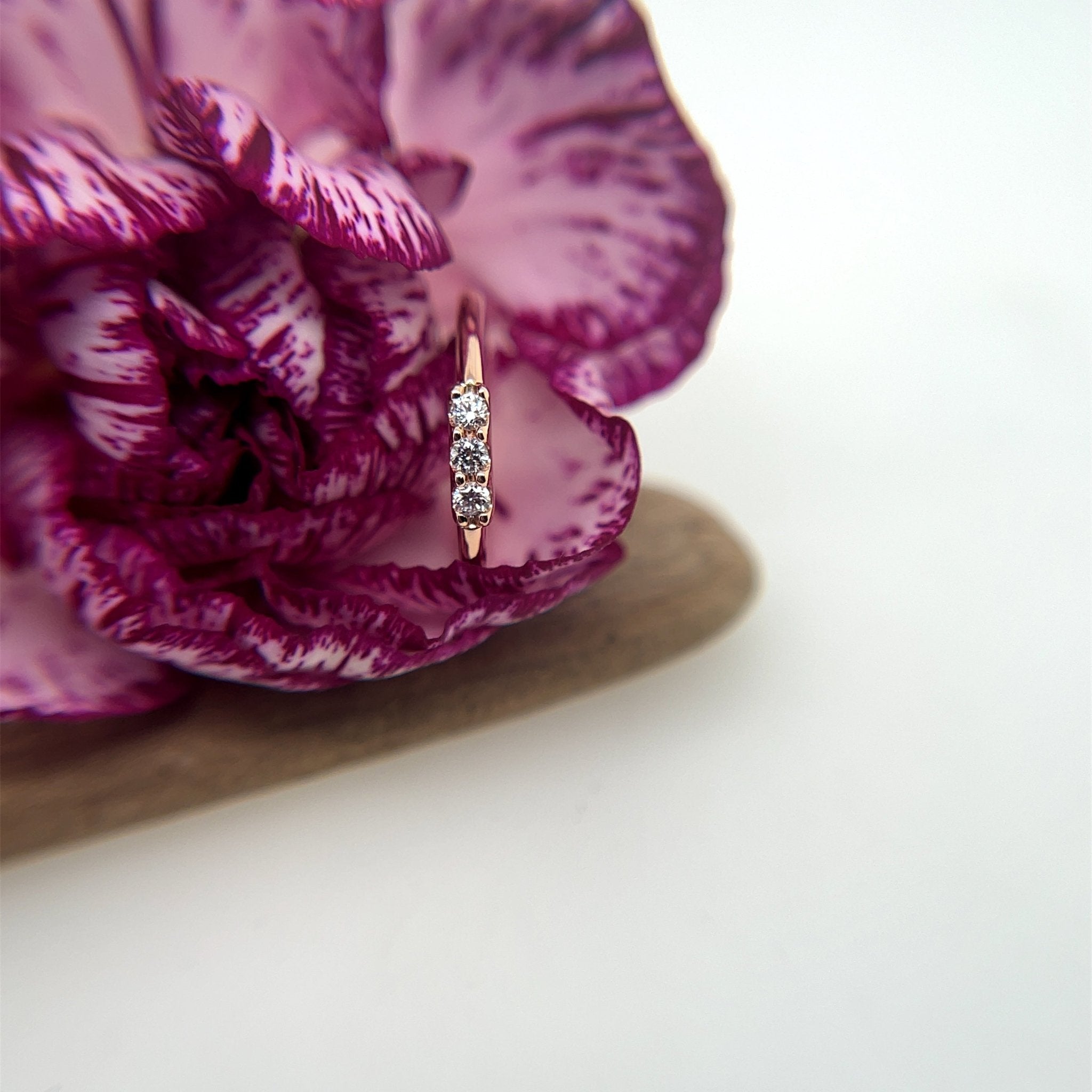 BVLA – Agave in Bloom