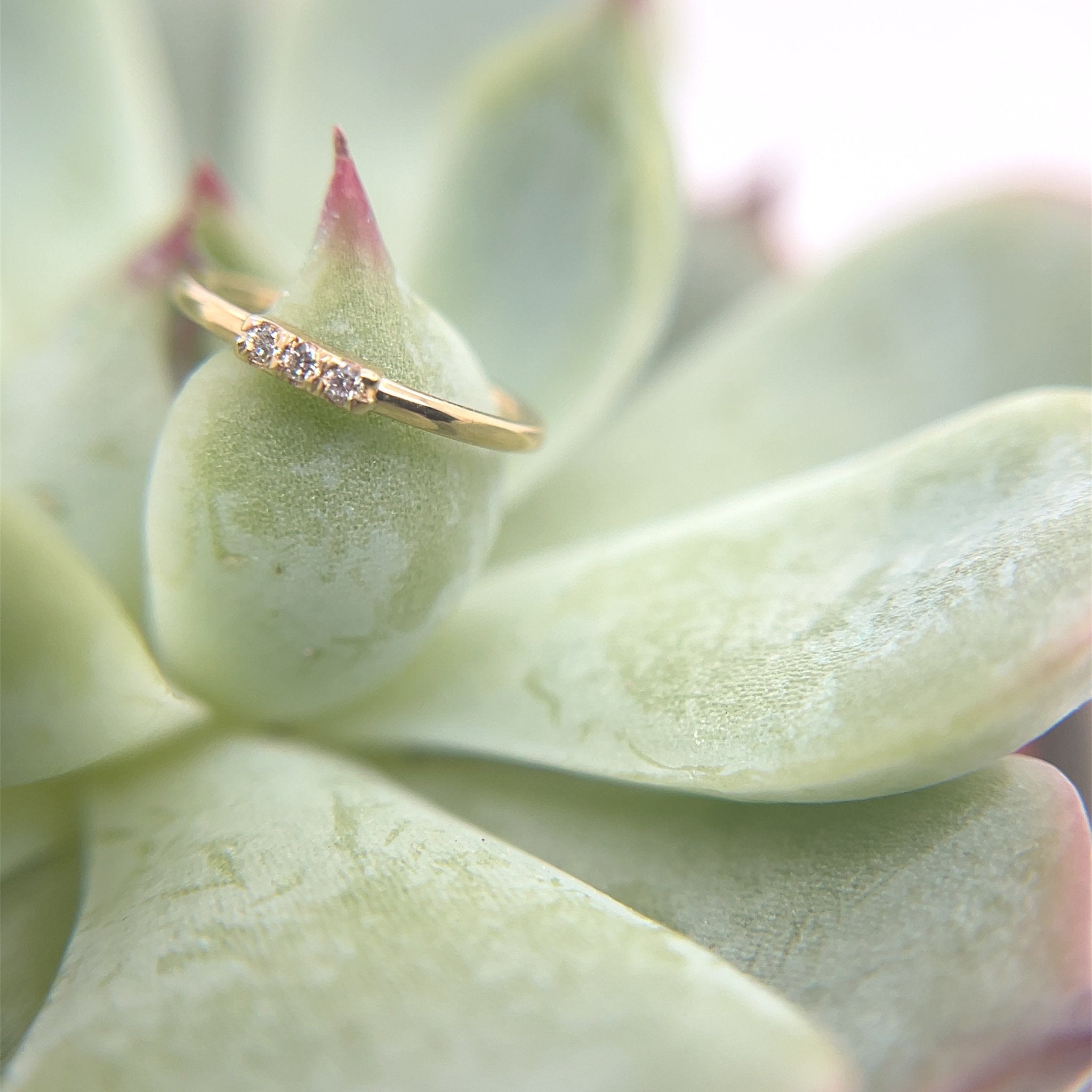 3 Gem Blaze Fixed Ring - Navel Orientation - 1mm Gemstones – Agave in Bloom