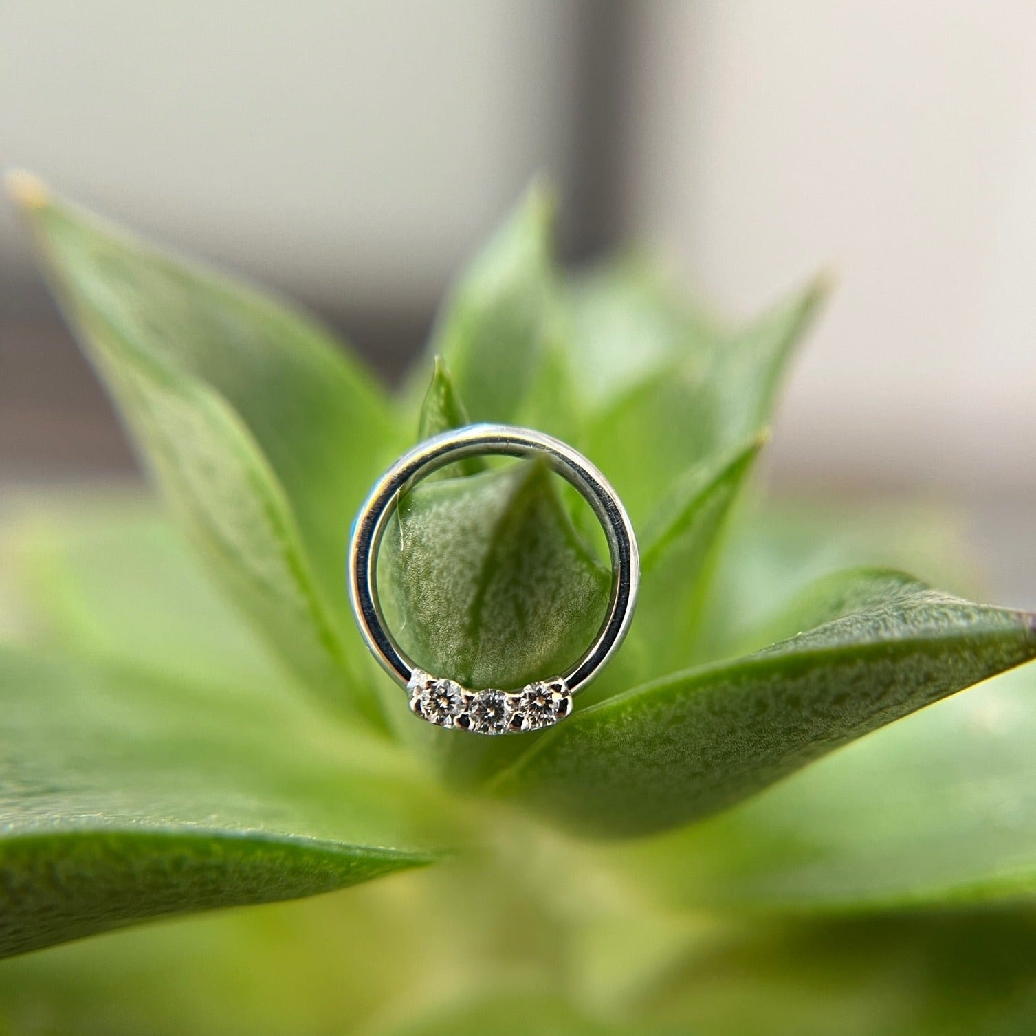 3 Gem Blaze Fixed Ring - Nipple Orientation 1.5mm Gemstones – Agave in ...