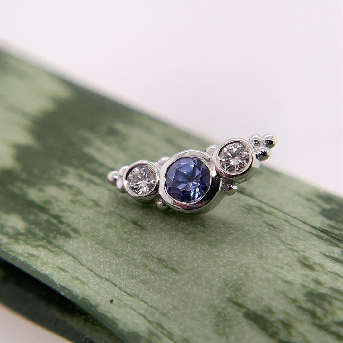 3 Gem Graduating Panaraya – Agave in Bloom