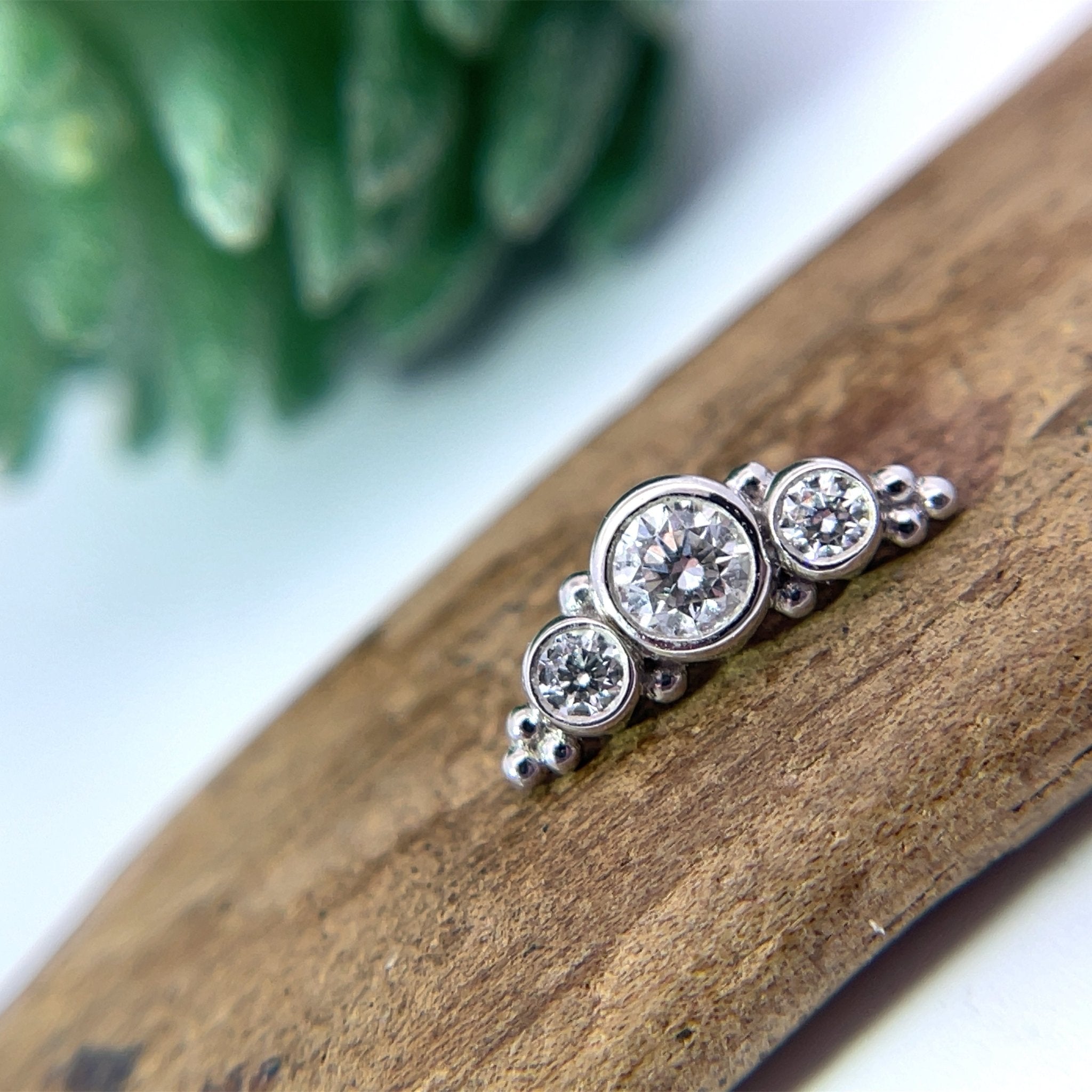 3 Gem Graduating Panaraya – Agave in Bloom