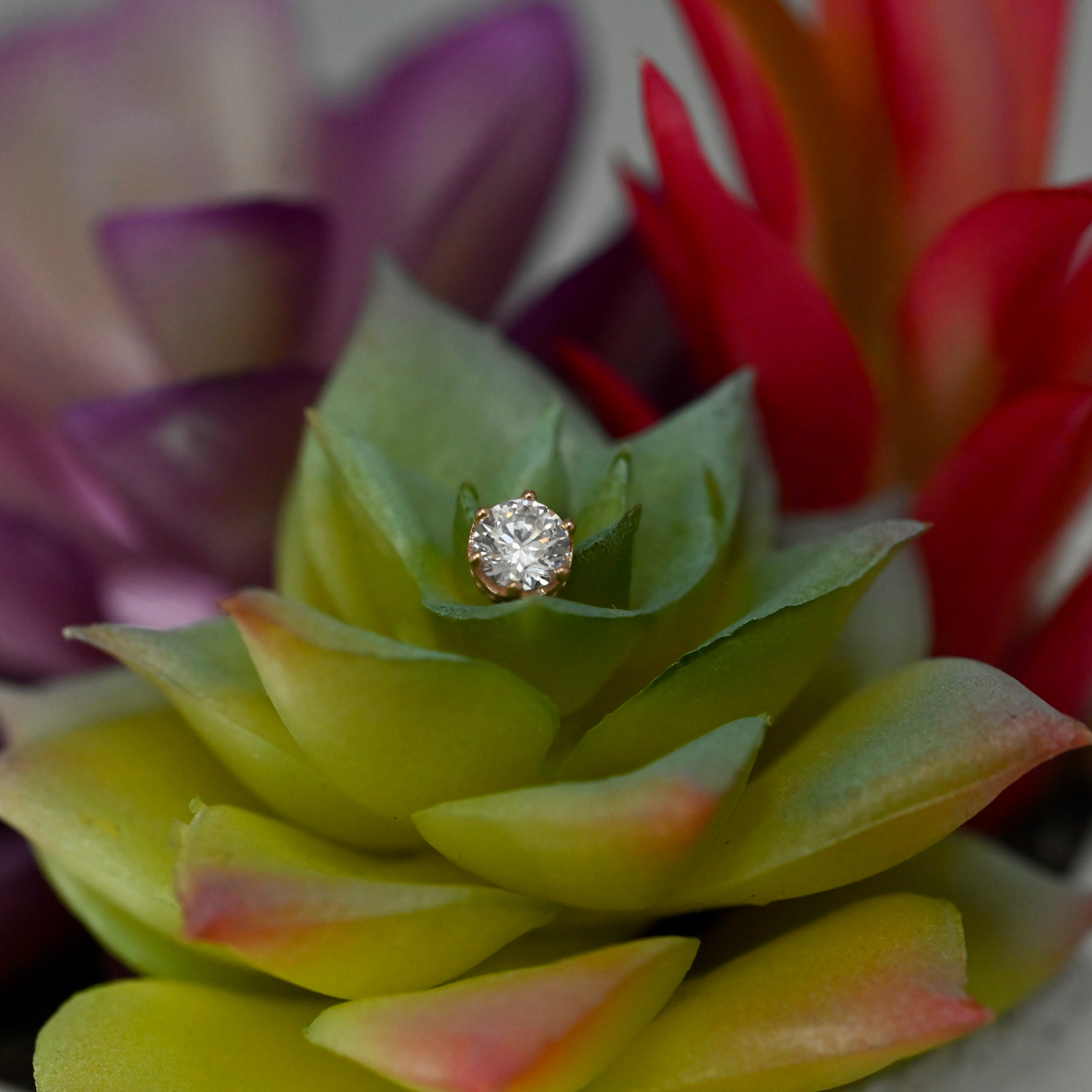 18K Gold Queen End – Agave in Bloom