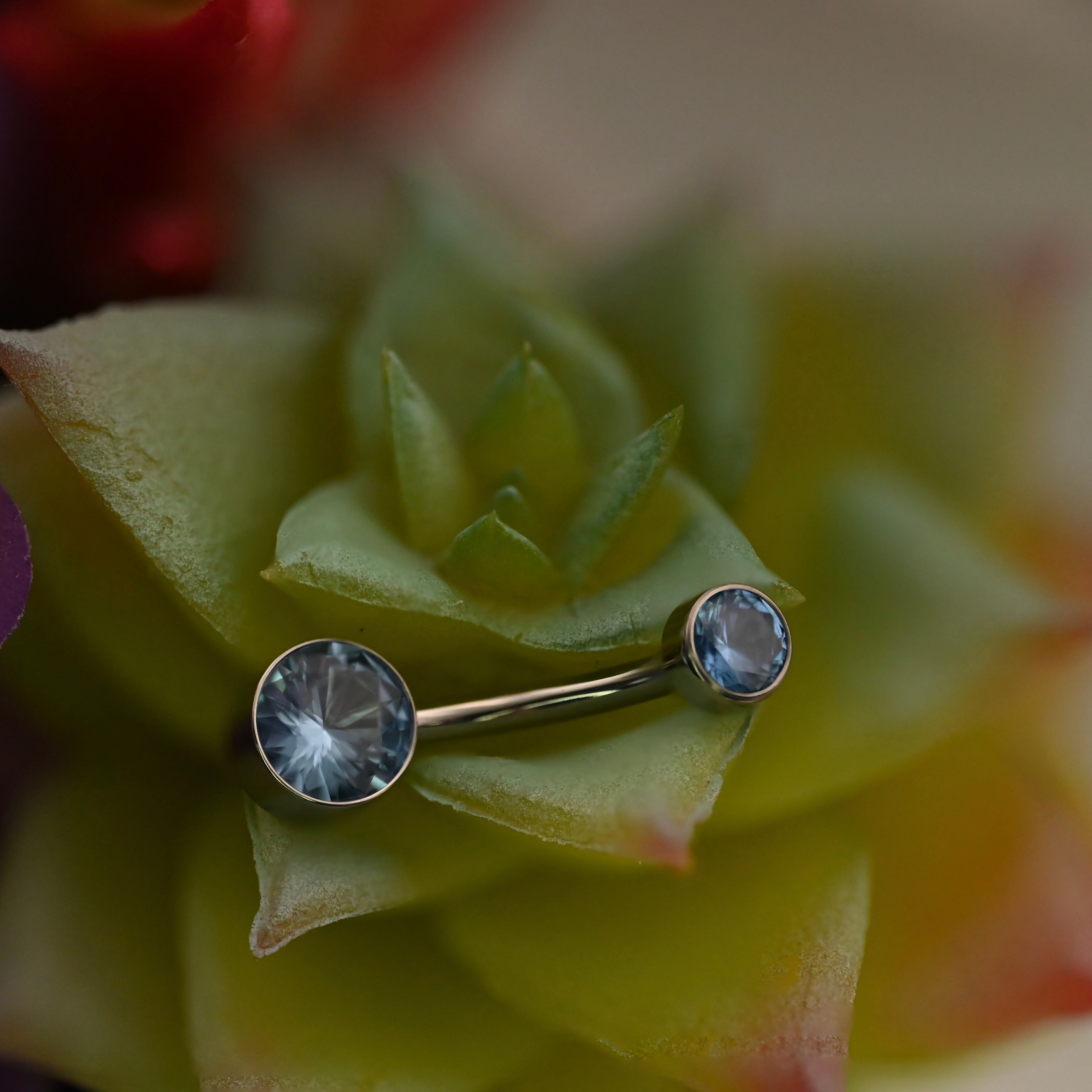 Titanium Double Bezel Navel Curve – Agave in Bloom