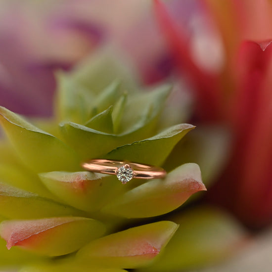 Fixed Ring with 2.5mm Round Prong - Navel Orientation – Agave in Bloom