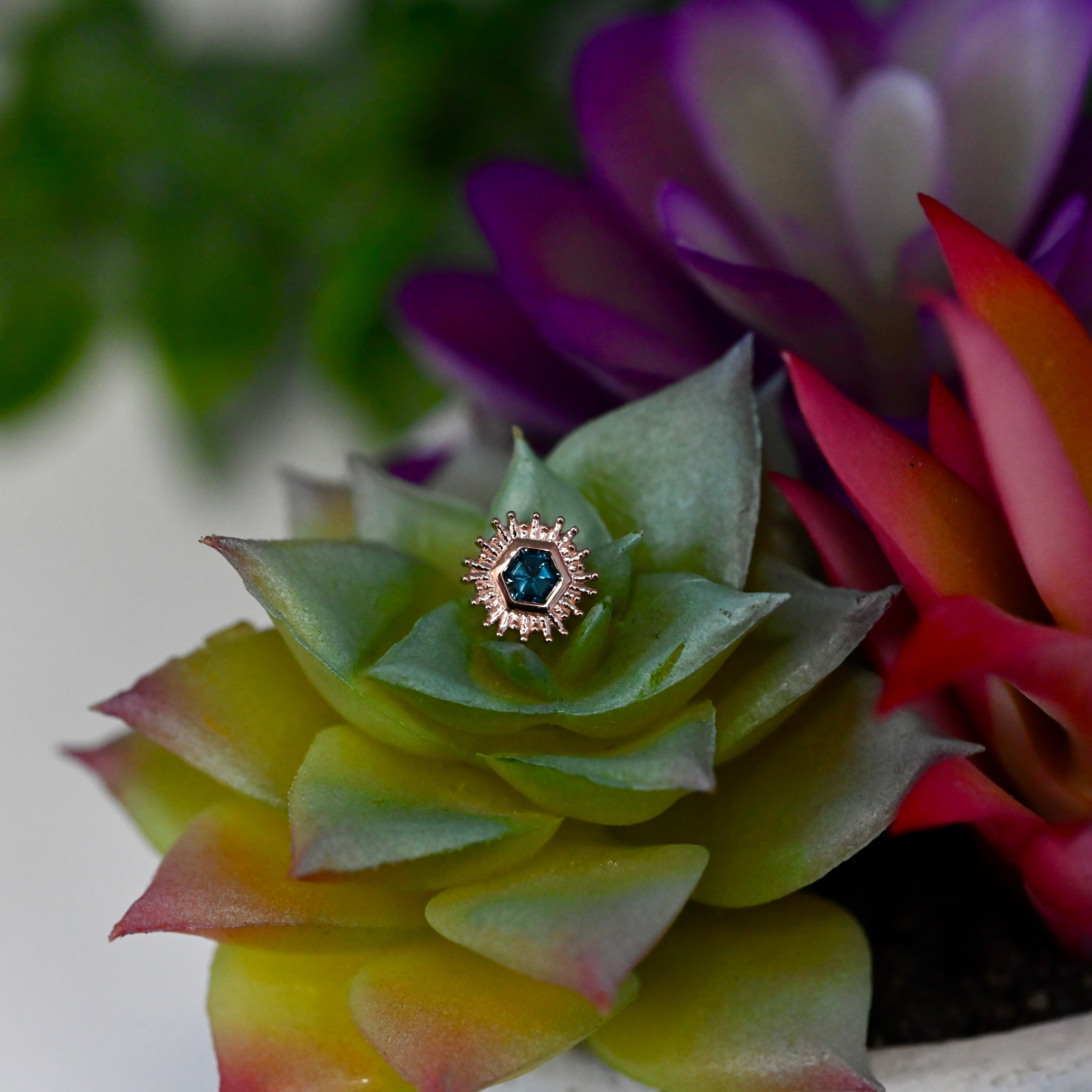 Agave in Bloom Piercing & Fine Jewelry