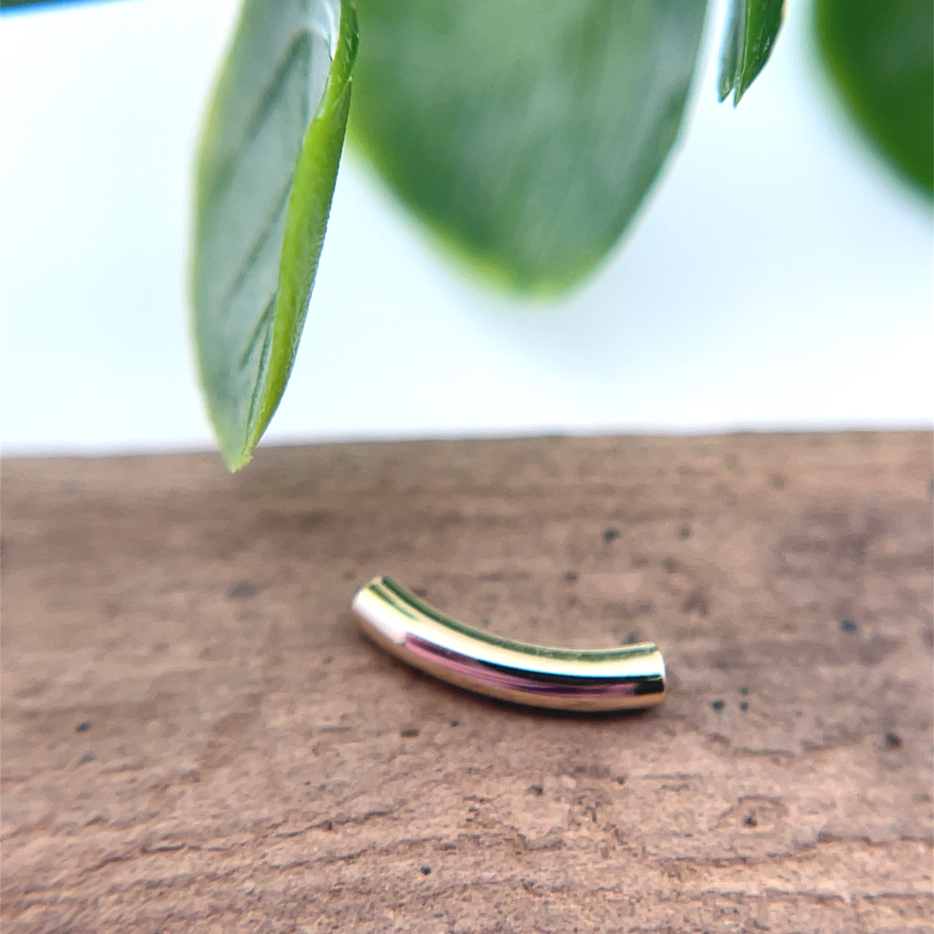 14K Gold 14g Threaded Curved Barbell Shaft – Agave in Bloom