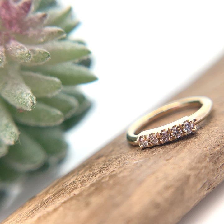 BVLA – Agave in Bloom