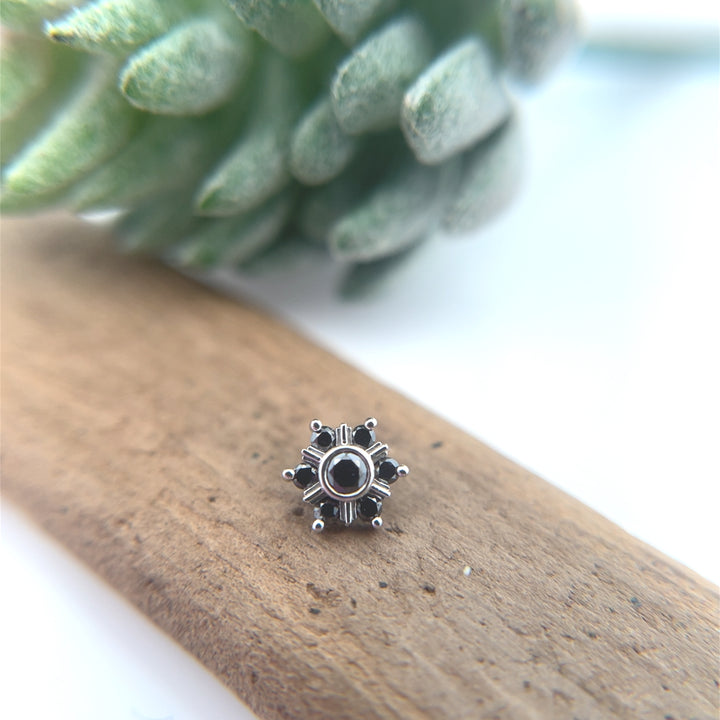 BVLA – Agave in Bloom