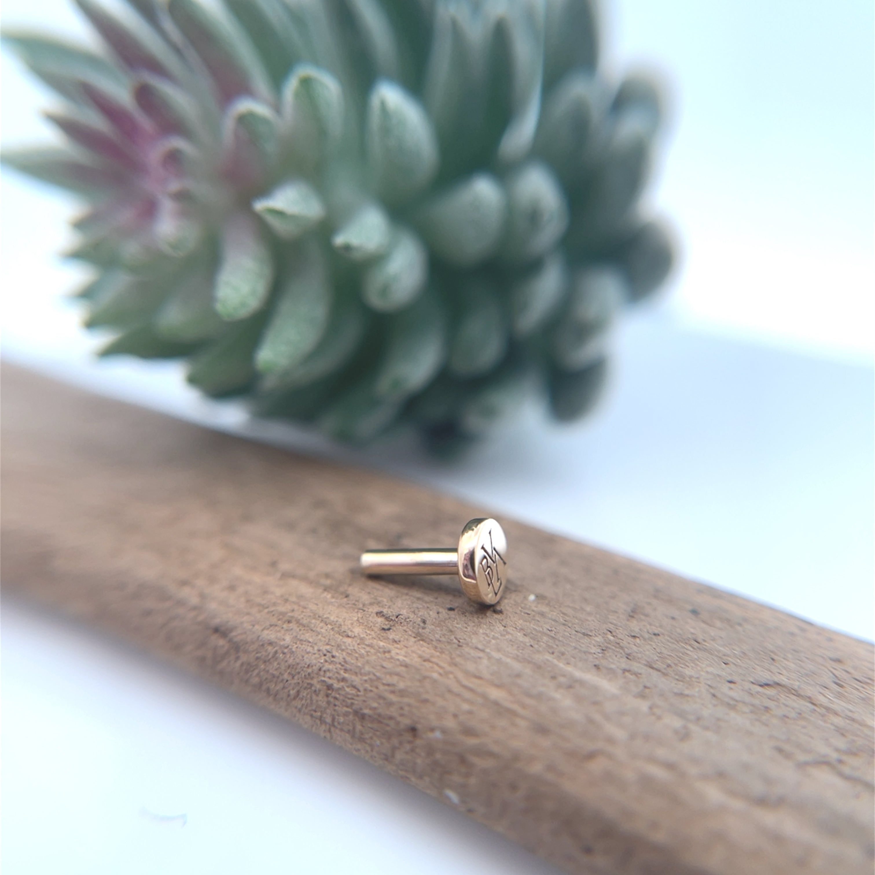 14K Gold Threadless Labret Post – Agave in Bloom