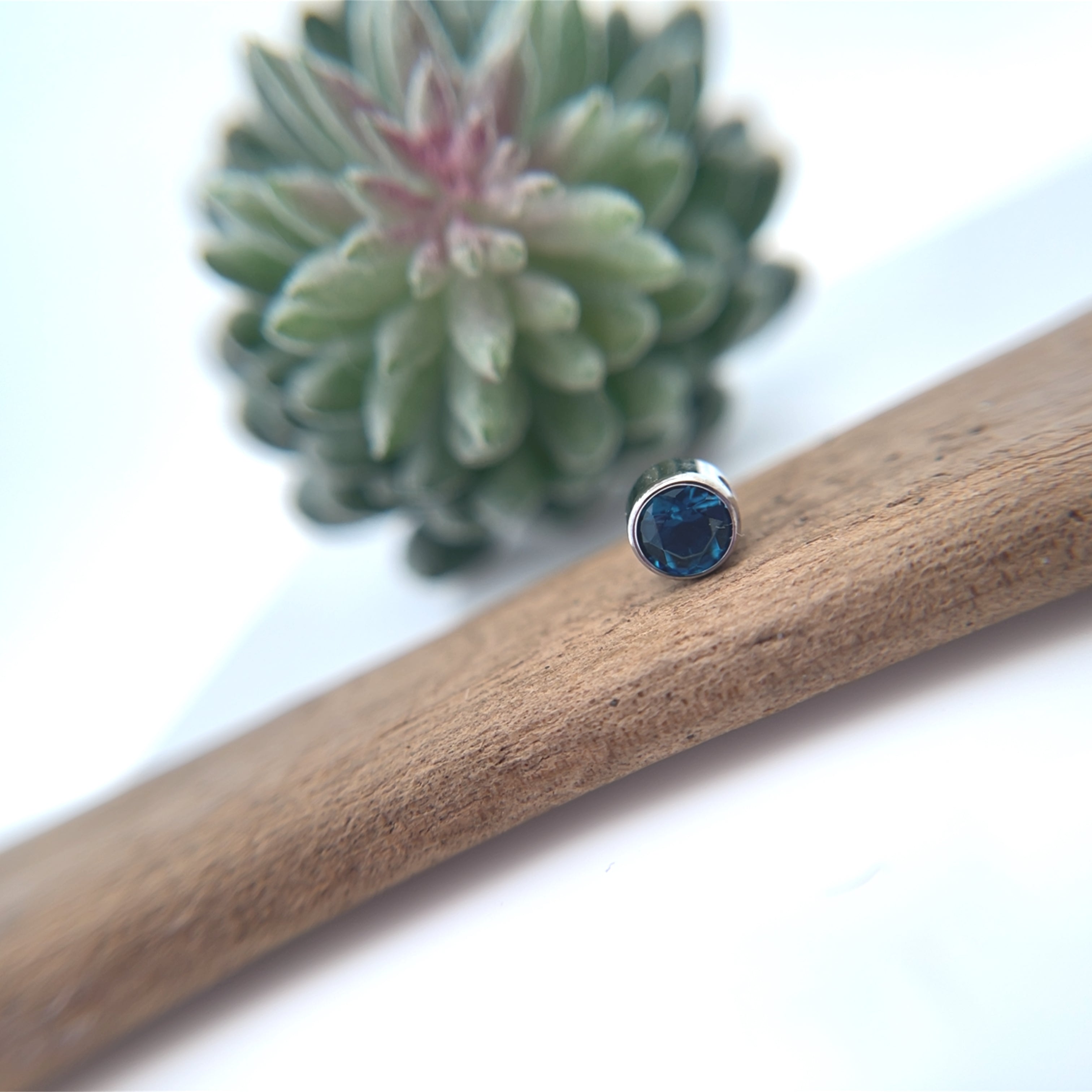 Captive Gem Only – Agave in Bloom