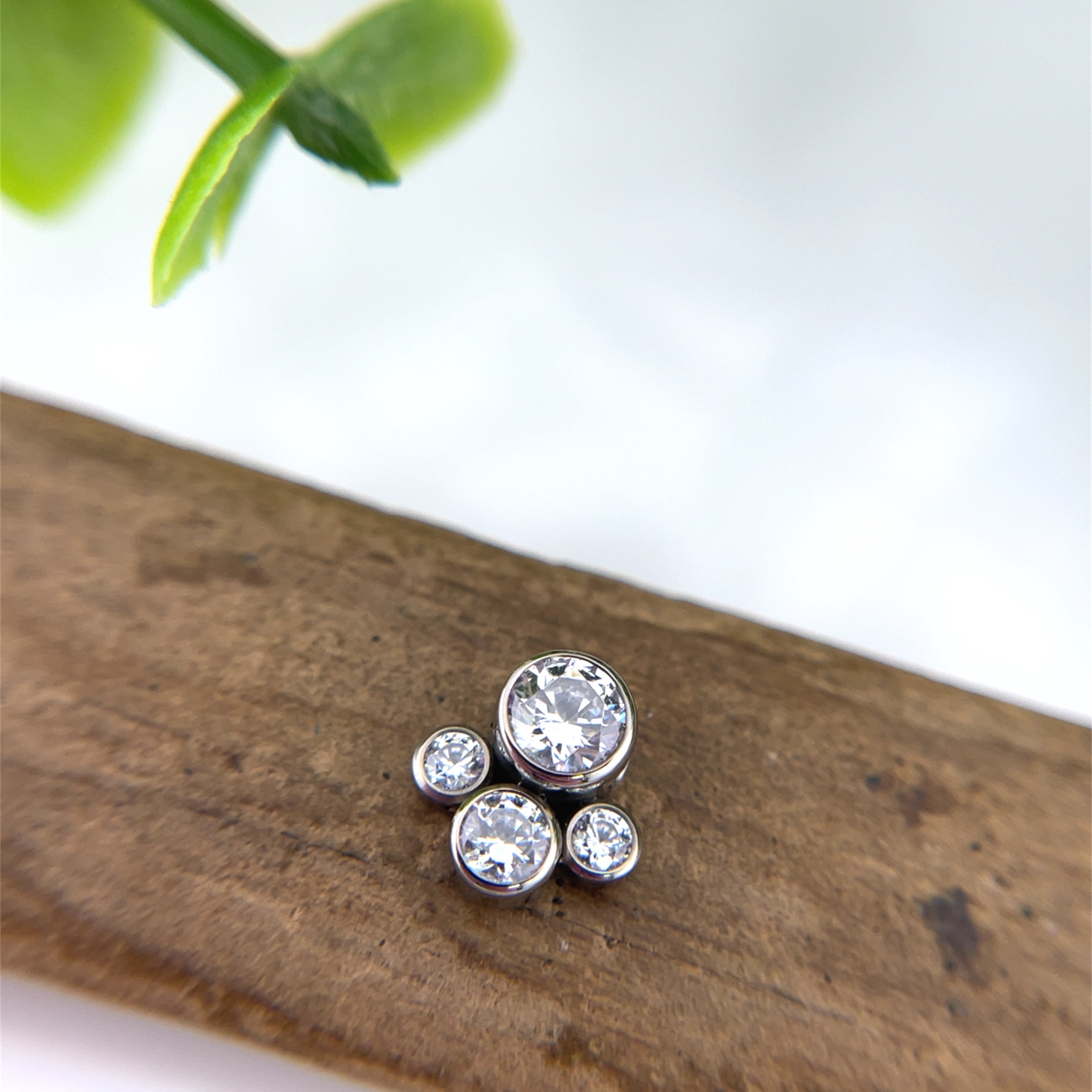 Titanium 4 Gem Captive Cluster – Agave in Bloom