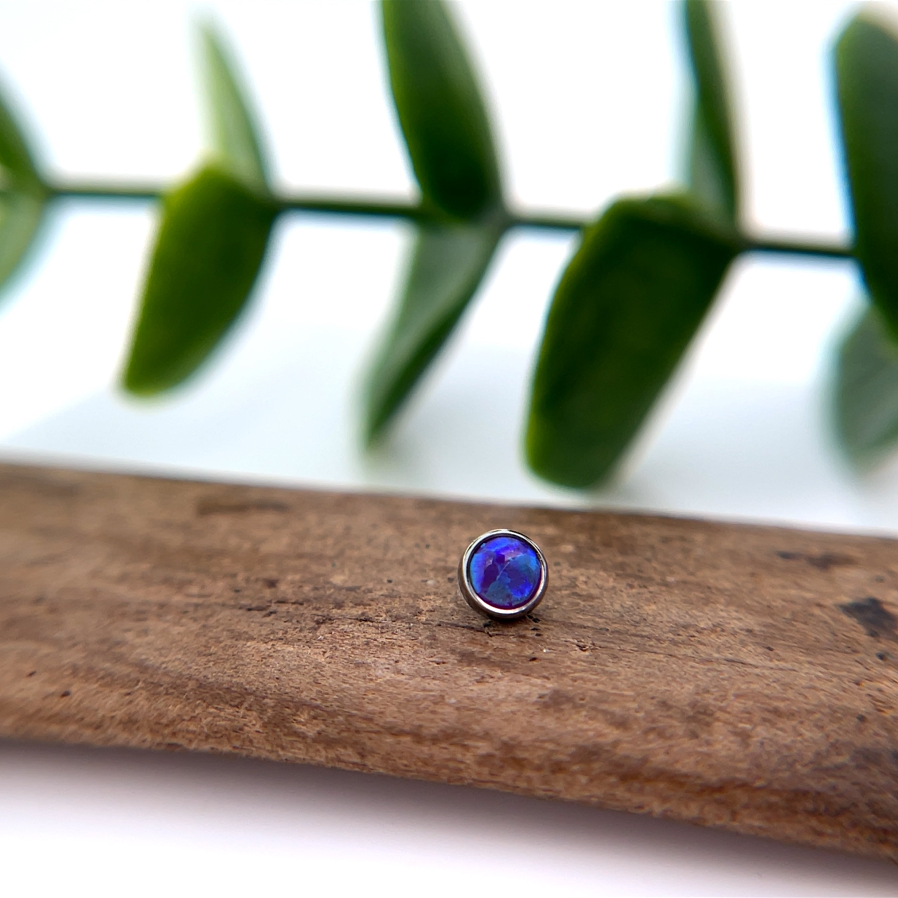 Titanium Bezel Set Gem – Agave in Bloom