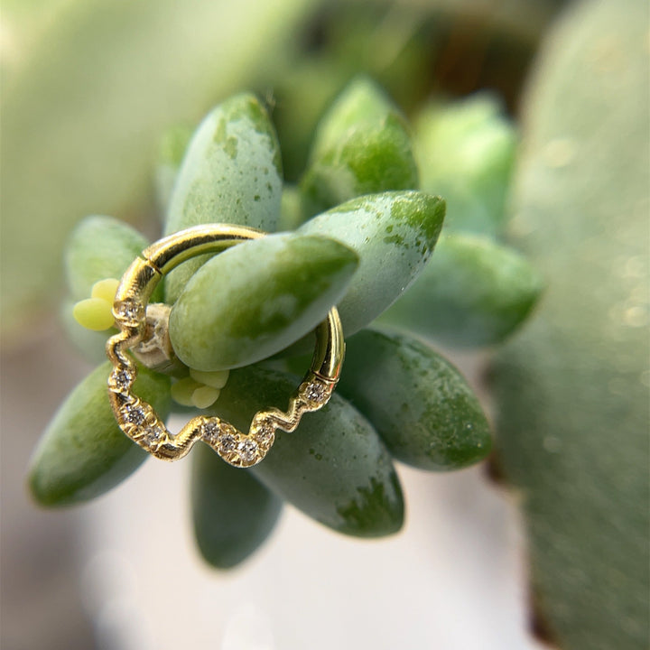 Pupil Hall – Page 2 – Agave in Bloom