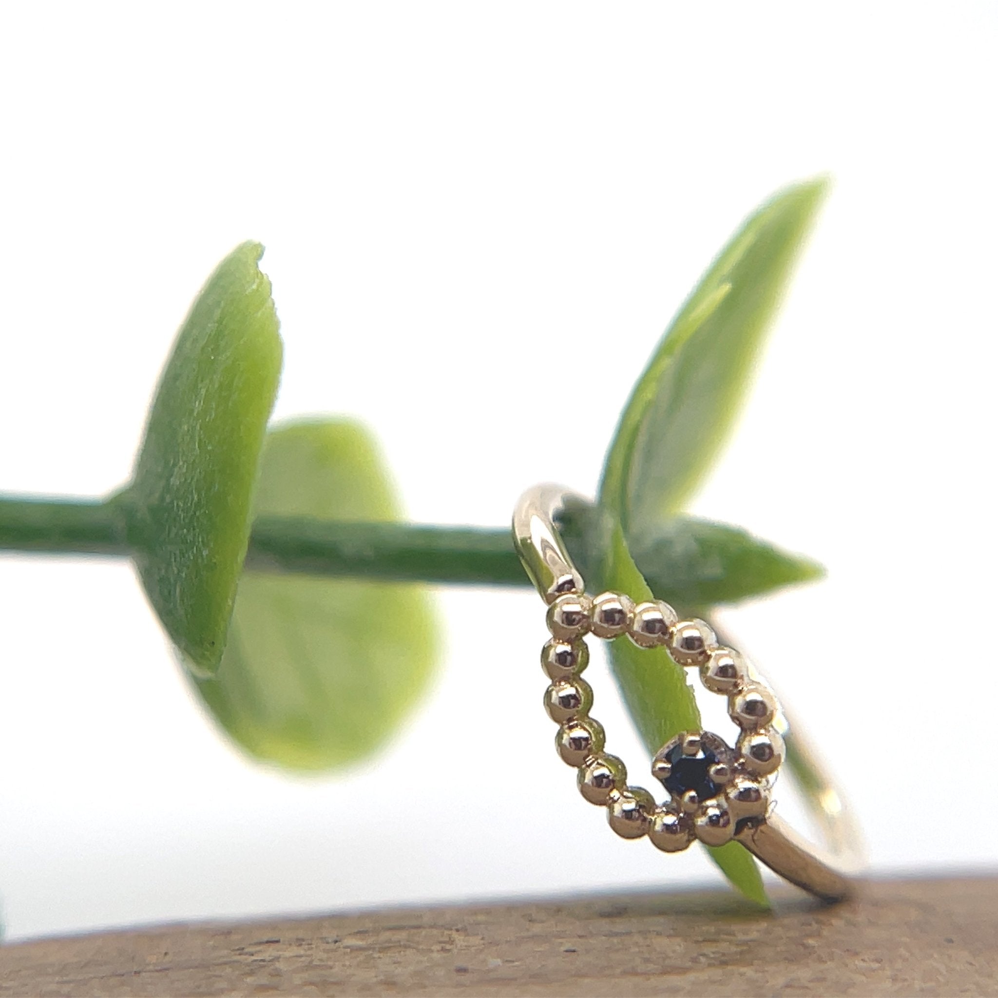 Fixed Ring with Sophie Tear - Navel Orientation – Agave in Bloom