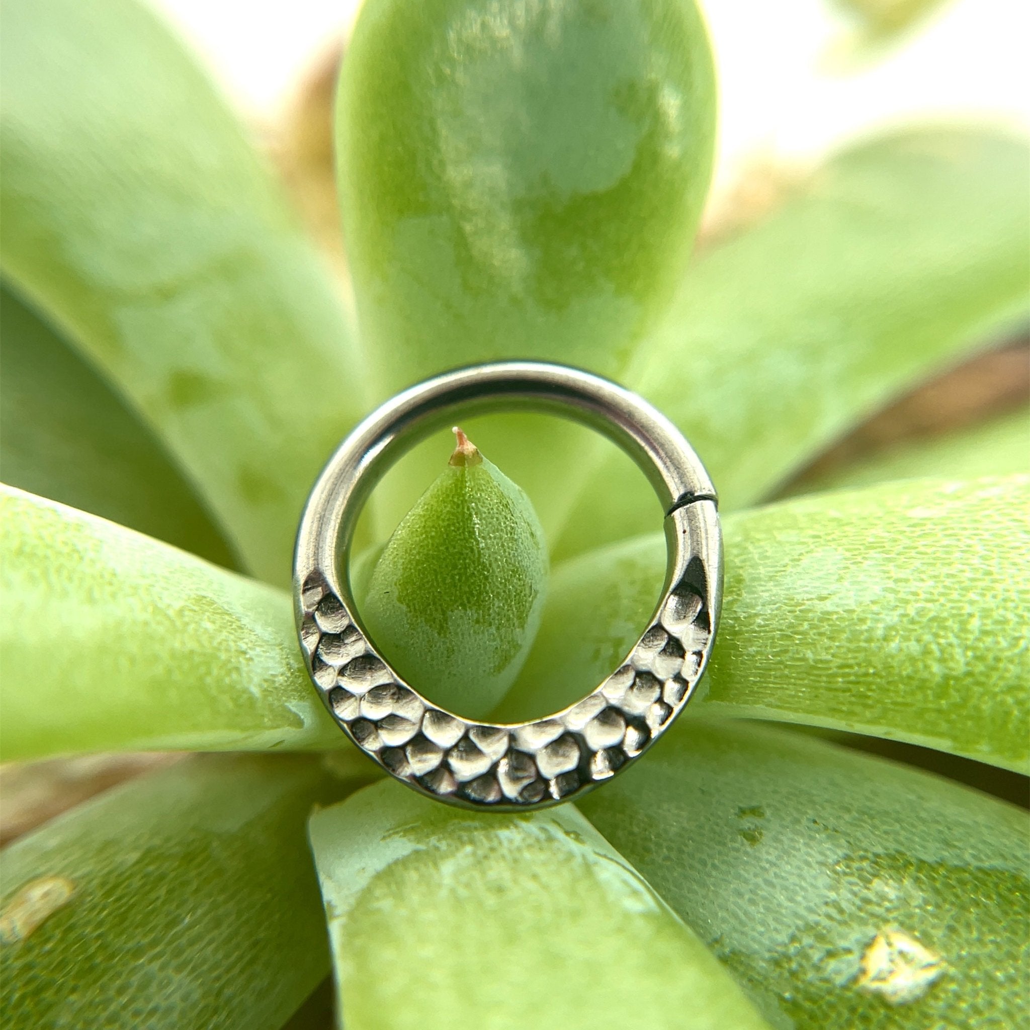 Hammered Niobium Seam Ring – Agave in Bloom