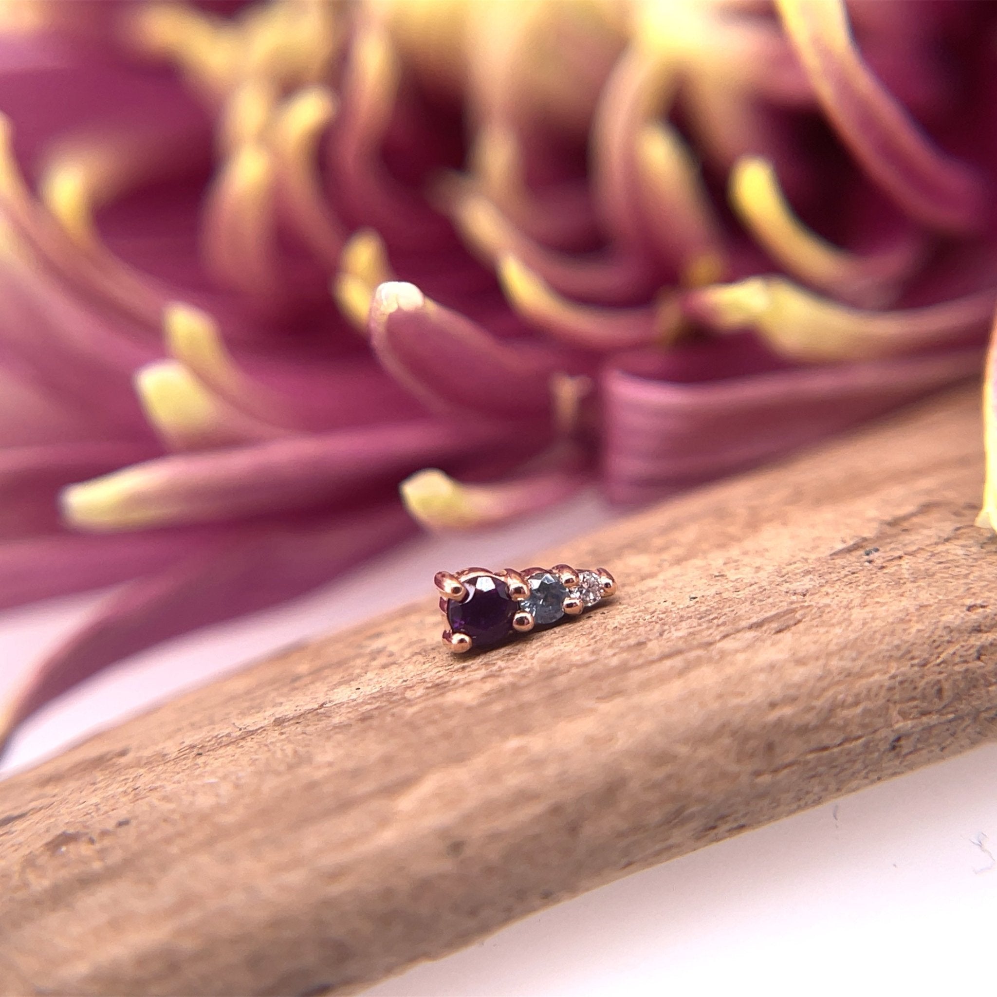 BVLA – Agave in Bloom