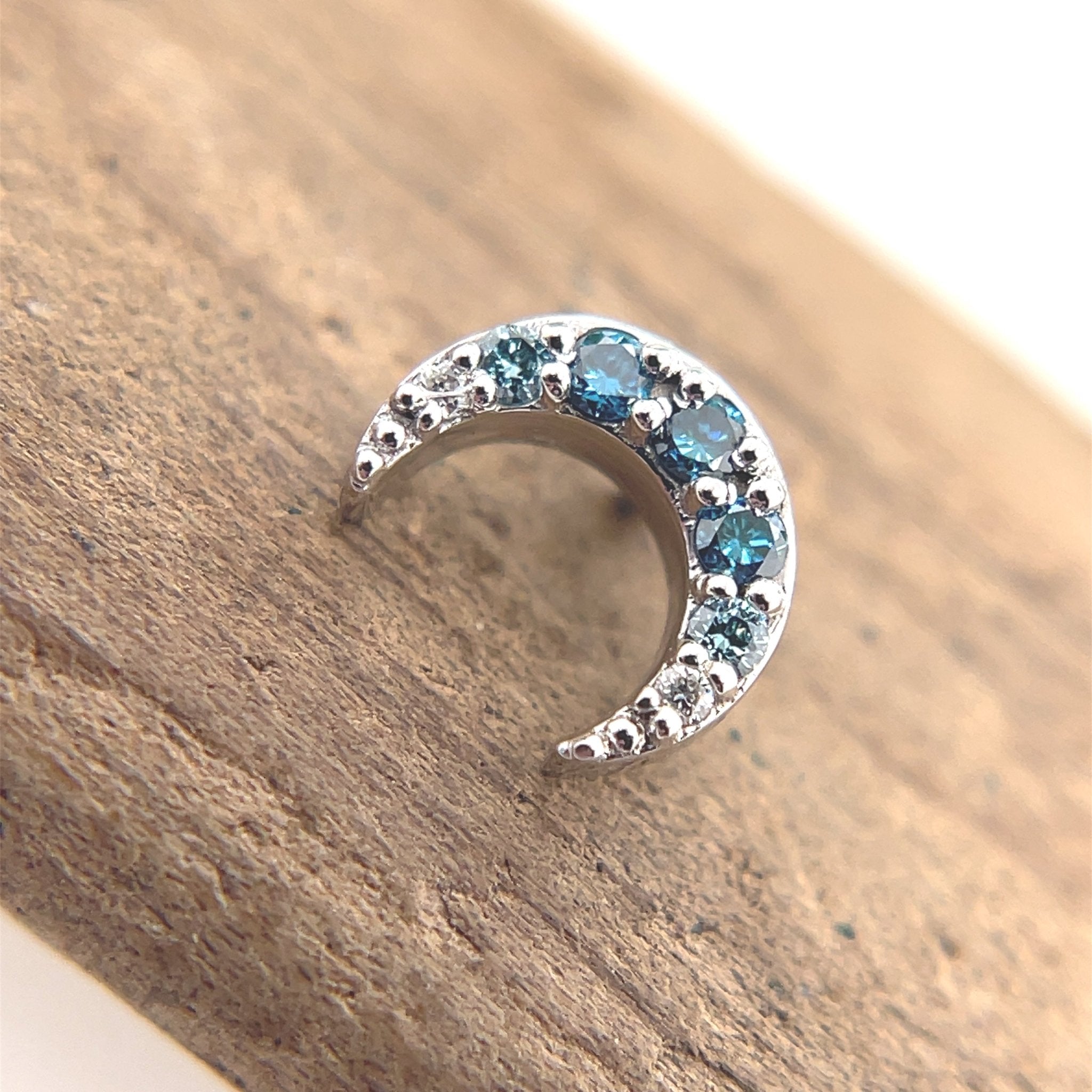 Jula – Agave in Bloom