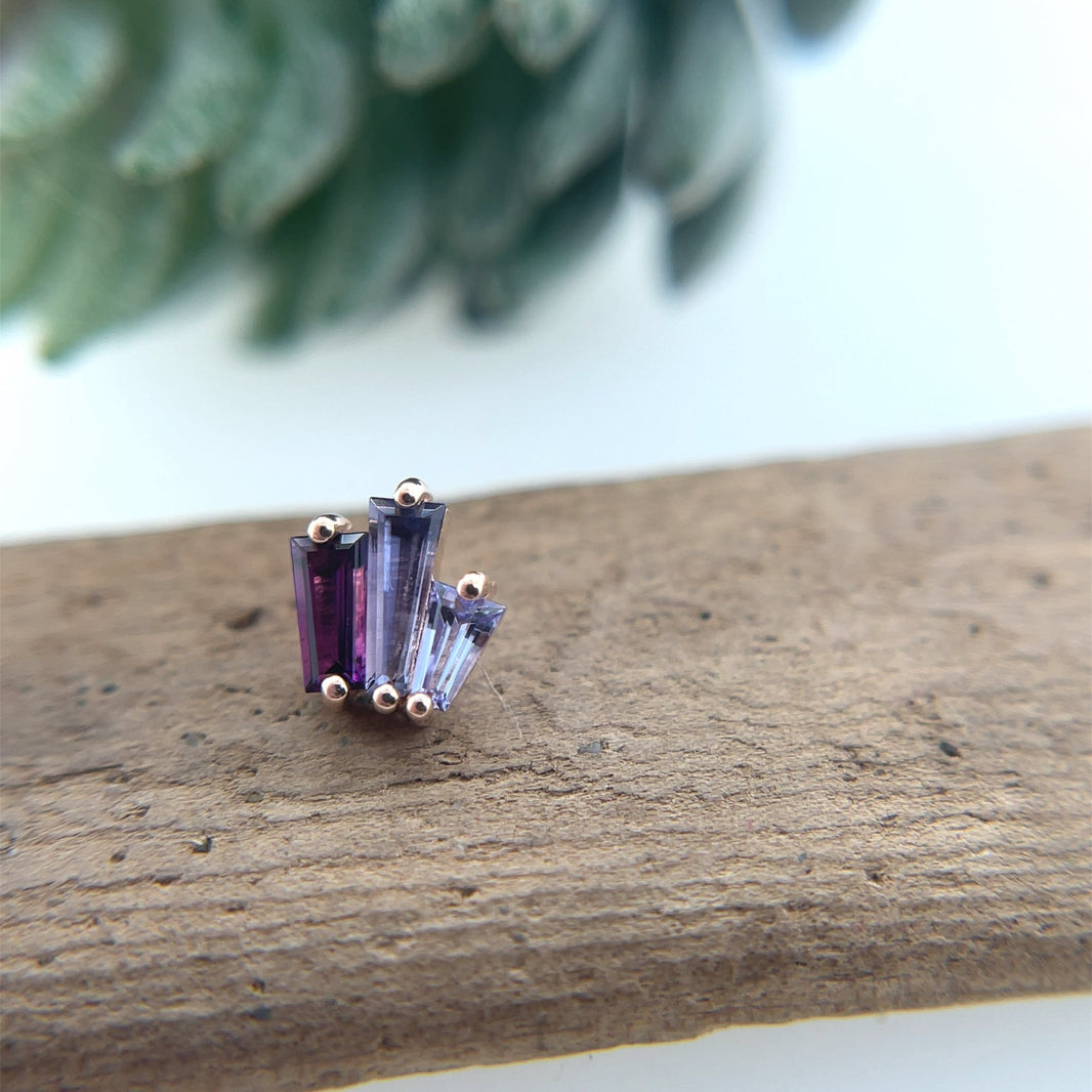 BVLA – Agave in Bloom