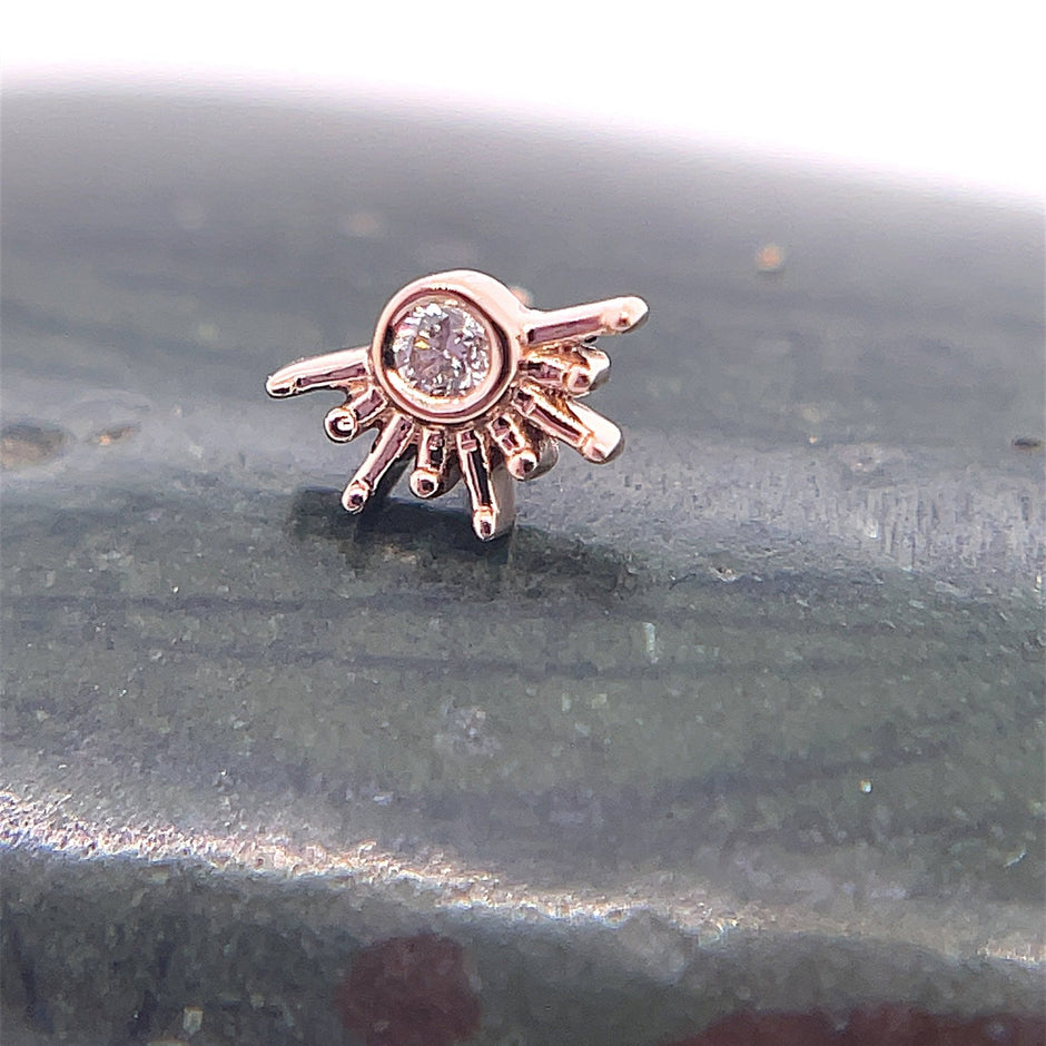 BVLA – Agave in Bloom