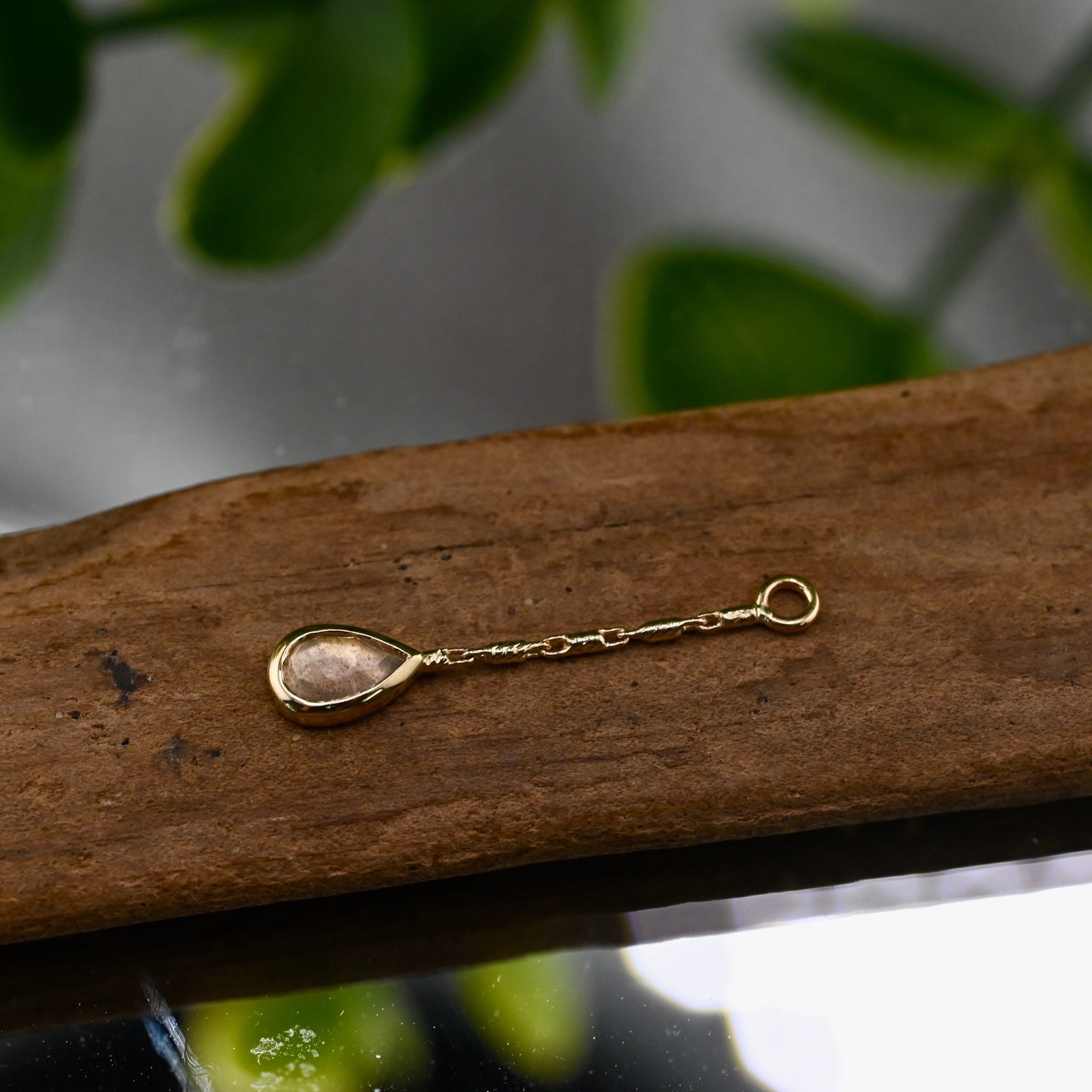 Miranda with Gem – Agave in Bloom