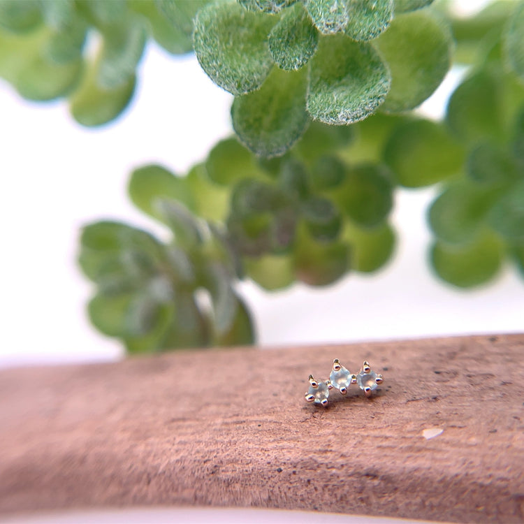 Muse with 1.5mm Gems – Agave in Bloom