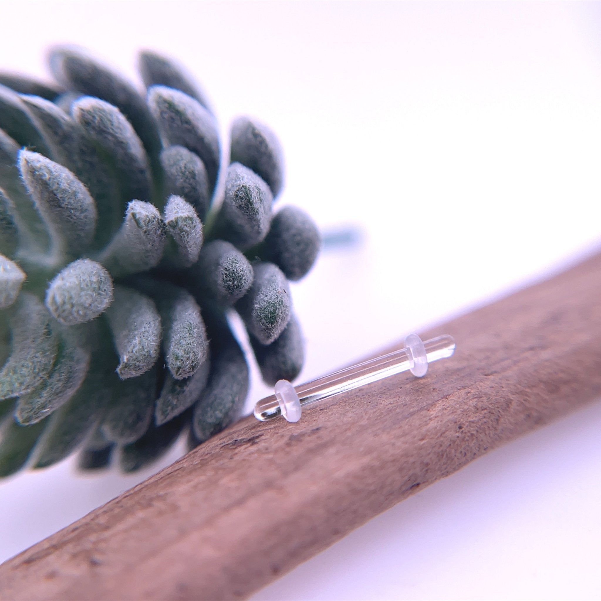 No Flare Plug Retainer – Agave in Bloom