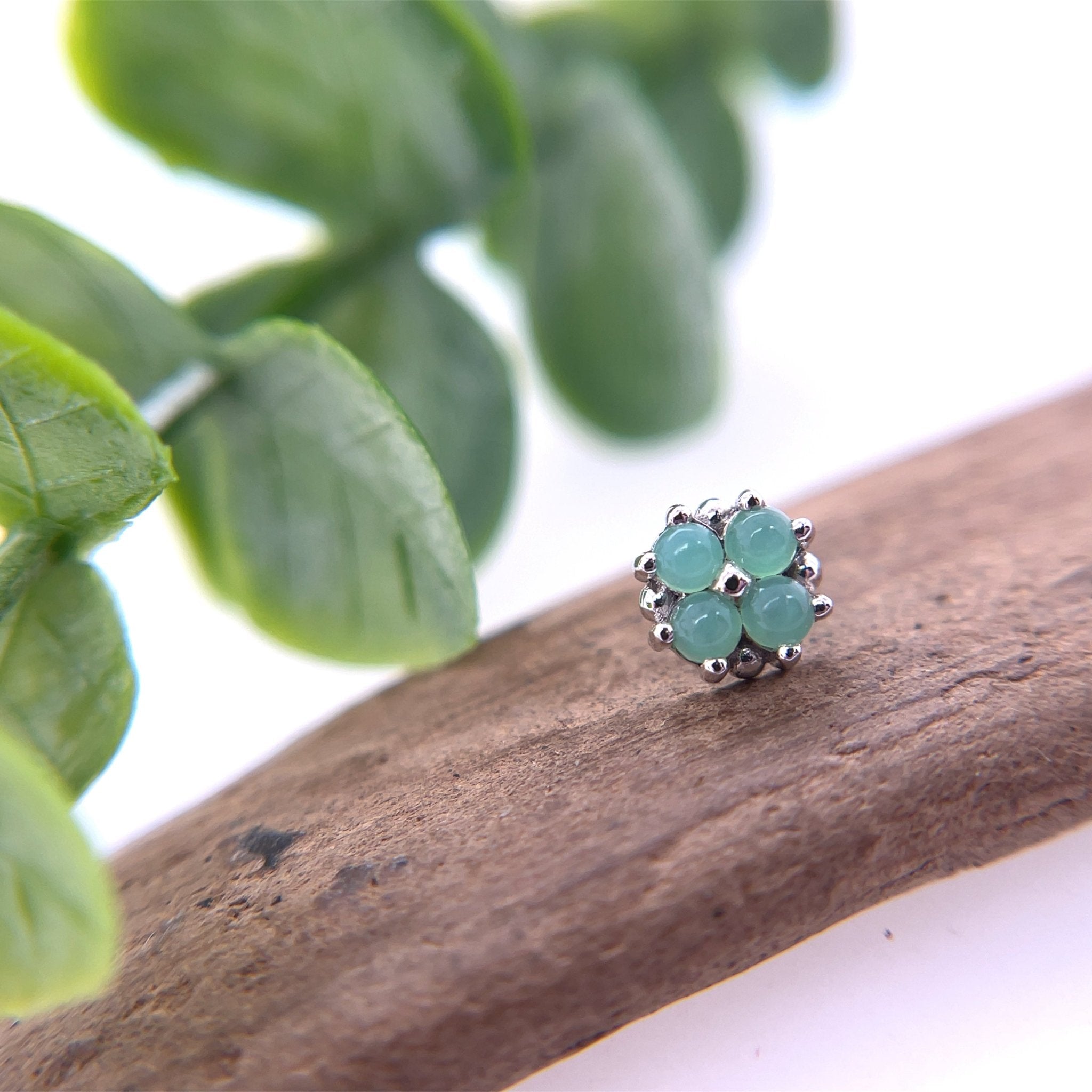 BVLA – Agave in Bloom