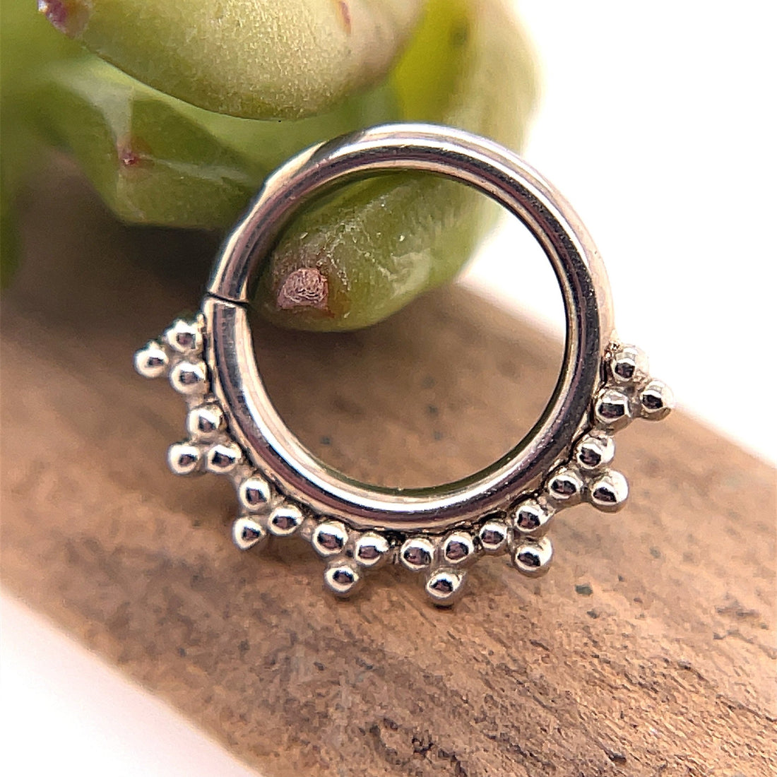 Talia – Agave in Bloom