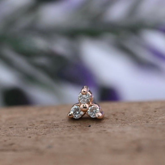 Tri Prong Cluster – Agave in Bloom