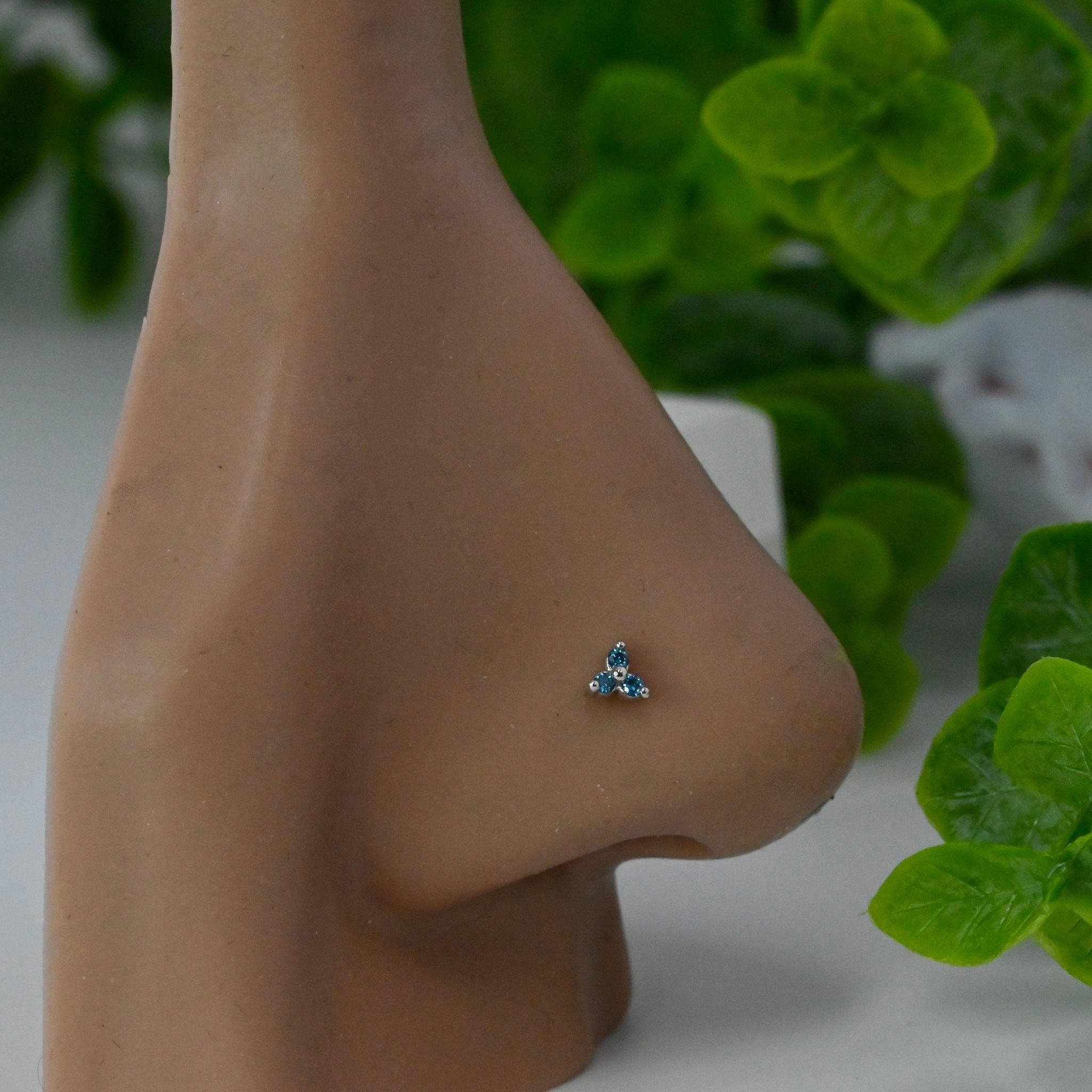 Tri Prong Cluster – Agave in Bloom