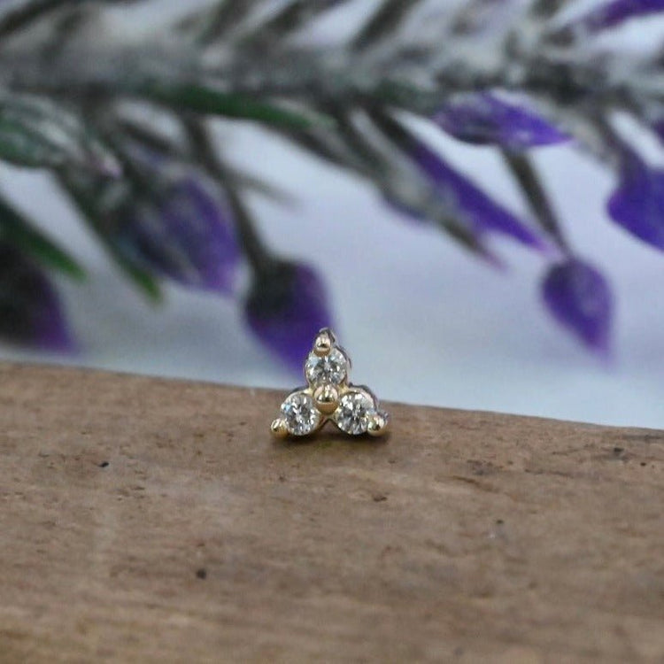 Tri Prong Cluster – Agave in Bloom